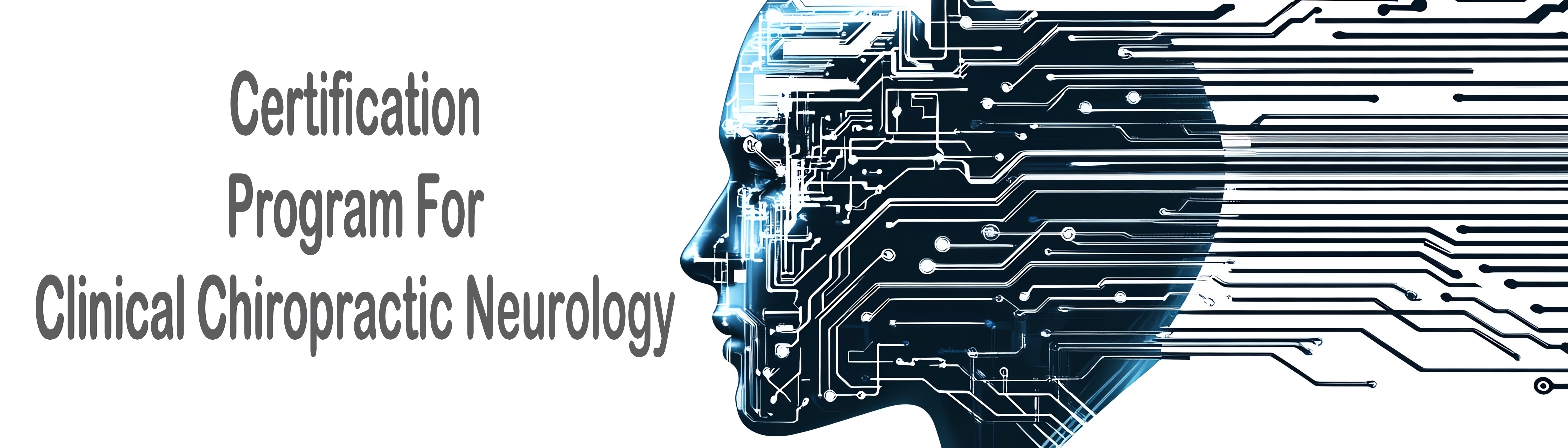 Online Chiropractic Clinical Neurology Certification Program (CCN)